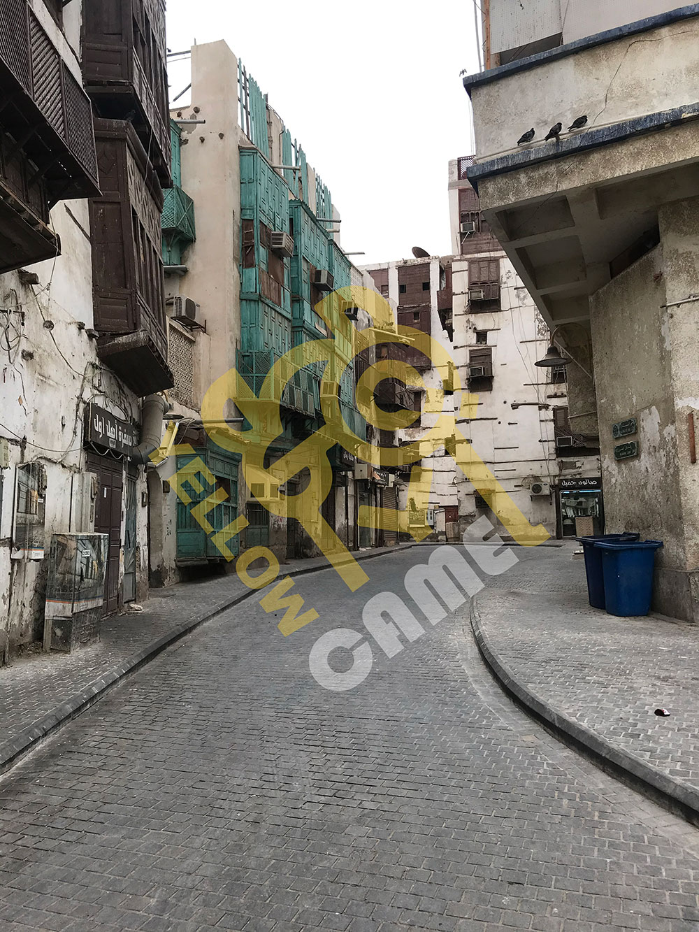 Yellow Camel | Locations