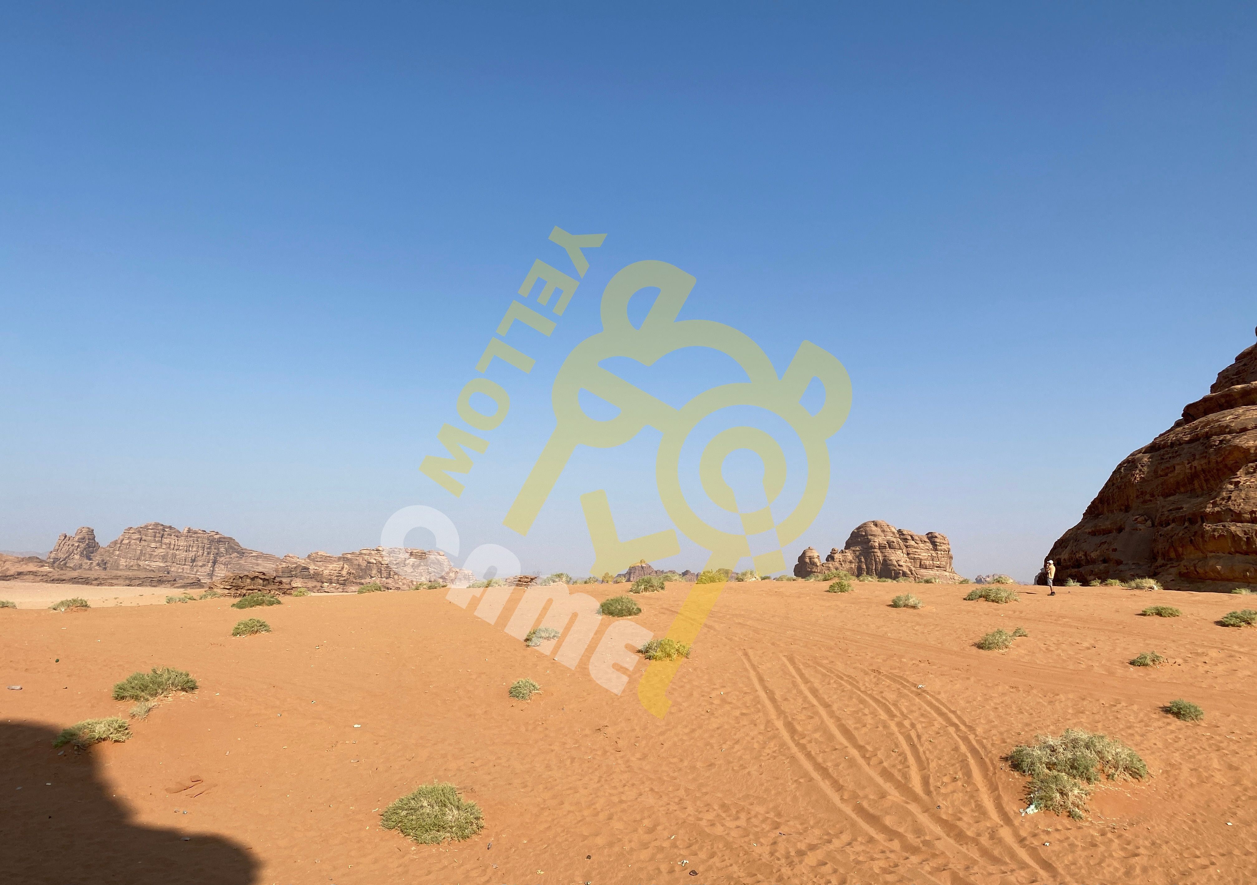 Yellow Camel | Locations
