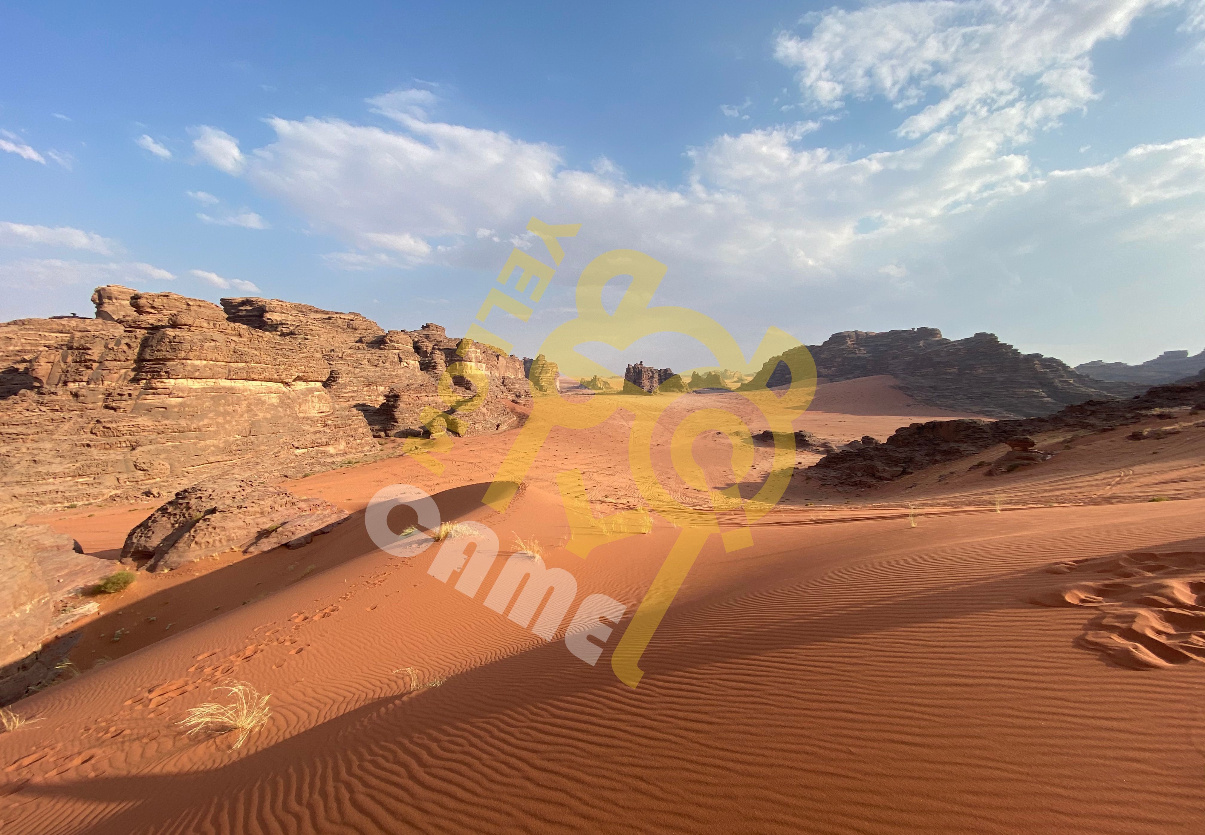 Yellow Camel | Locations