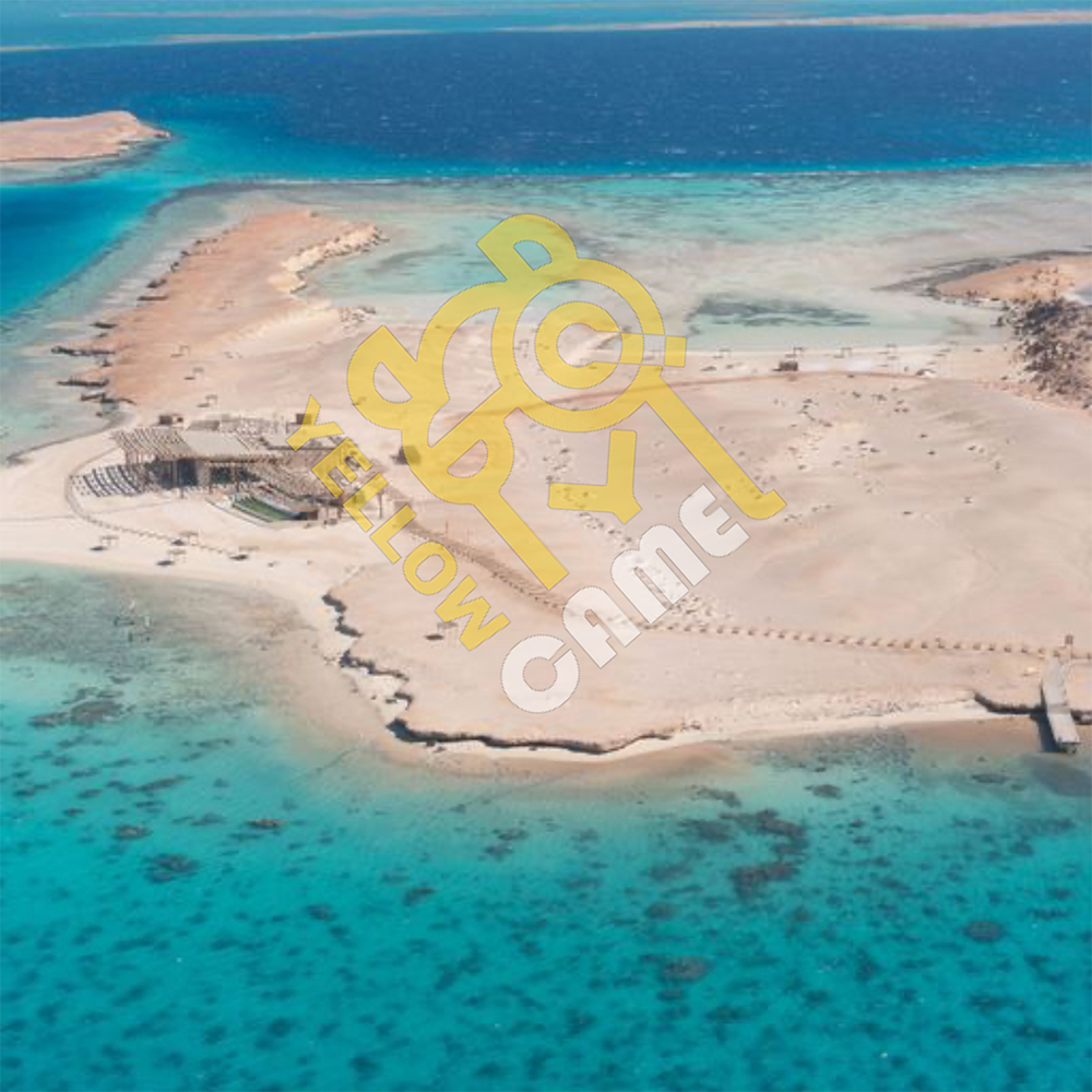 Yellow Camel | Locations